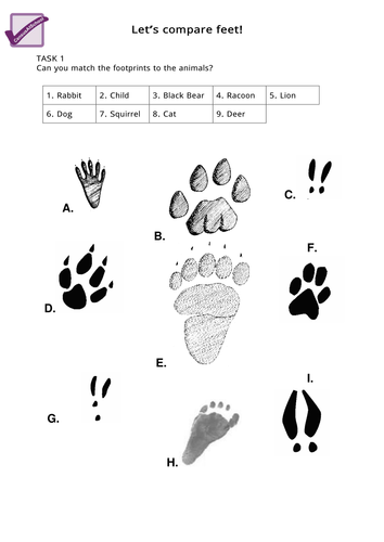 Let's Compare Feet! | Teaching Resources