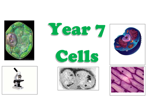 Key stage 3 unit titles for display boards | Teaching Resources