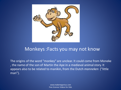 Monkeys Facts | Teaching Resources