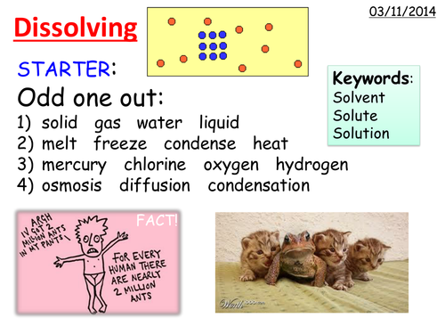Particles lesson 5 KS3 Year 7 - Dissolving | Teaching Resources