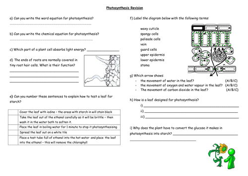 Photosynthesis revision sheet | Teaching Resources