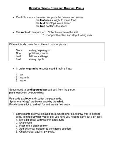 Plants revision sheet | Teaching Resources