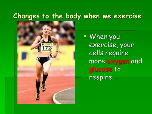 WHAT HAPPENS WHEN WE EXERCISE PPT | Teaching Resources