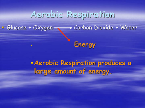 RESPIRATION PPT | Teaching Resources