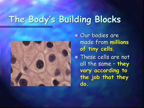 BUILDING BLOCKS | Teaching Resources