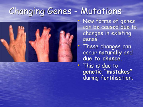 mutations | Teaching Resources