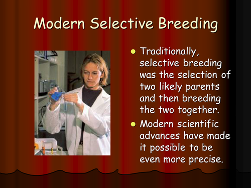 Modern selective breeding | Teaching Resources