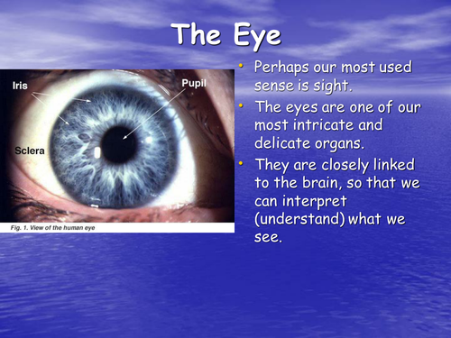 THE EYE HIGHER | Teaching Resources
