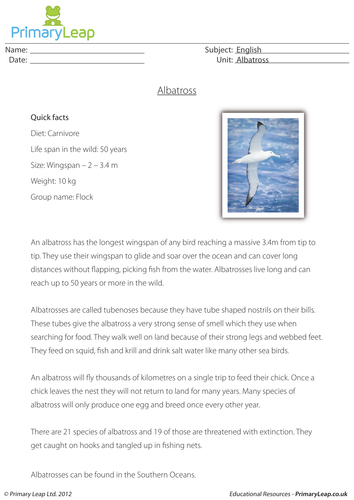 Reading comprehension - Albatross | Teaching Resources