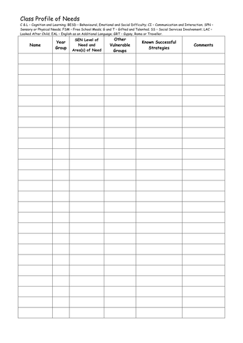 SEN Class profile of needs form by molly_bird - Teaching Resources - Tes