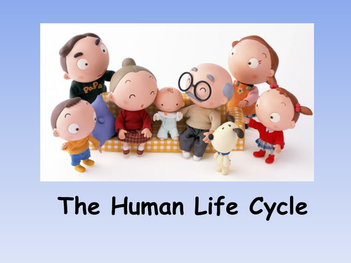 The Human Life Cycle - Powerpoint | Teaching Resources The Human Life Cycle - Powerpoint | Teaching Resources