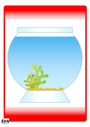 Colour Sort Activity - Fish theme | Teaching Resources