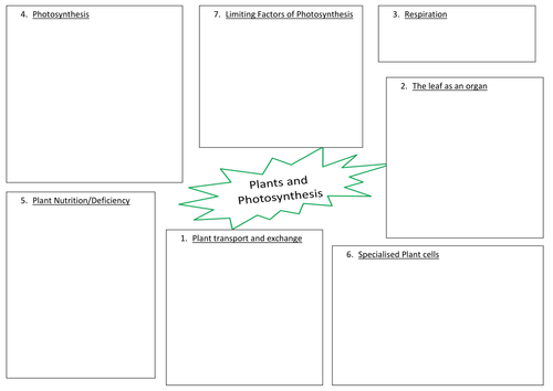Plants and photosynthesis revision lesson | Teaching Resources