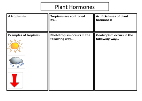 Plant hormones and tropism table | Teaching Resources