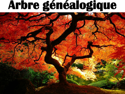 French vocabulary - Family Tree | Teaching Resources