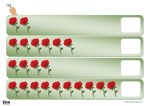 How many Roses? TEACCH Activity | Teaching Resources