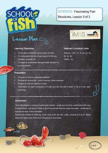School of Fish REVISED FOR 2013 | Teaching Resources