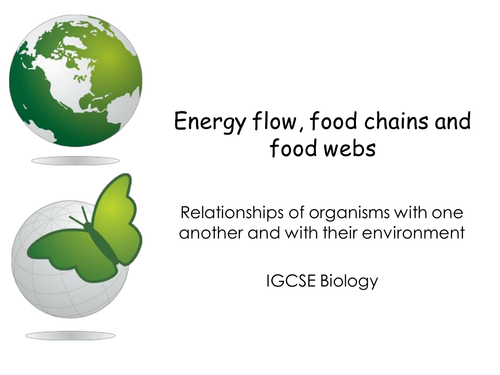 Calculating energy flow through an organism and a food chain by - UK ...