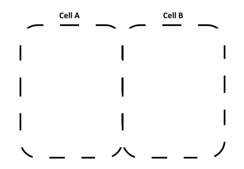 Cells template for modelling cellular transport | Teaching Resources