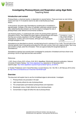 Photosynthesis practical - using algal balls | Teaching Resources