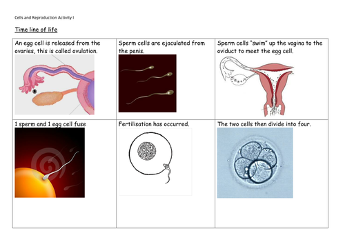 Timeline for Life | Teaching Resources