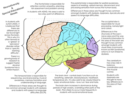 Neurodiversity and SEN Poster | Teaching Resources