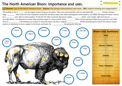 Bison / Buffalo Uses by Ichistory | Teaching Resources