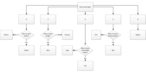 Scratch Animal Classification Program | Teaching Resources