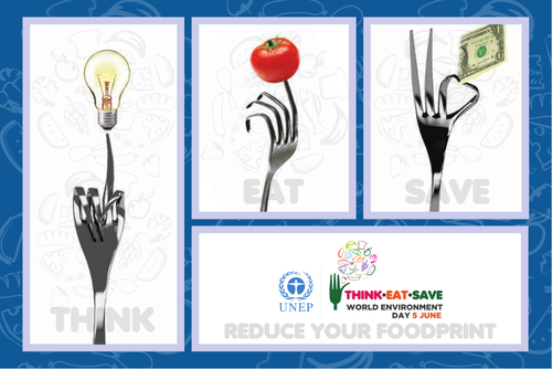 world environment day (WED) | Teaching Resources