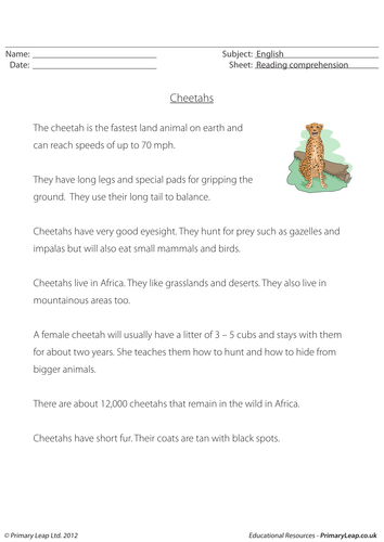 Reading comprehension: Cheetahs (non-fiction) | Teaching Resources
