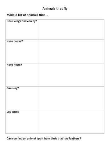Animals that fly | Teaching Resources
