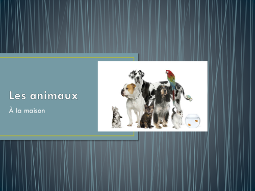 BAGS - Adjectives that go before the noun | Teaching Resources