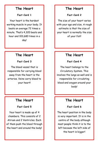 Heart scavenger hunt | Teaching Resources