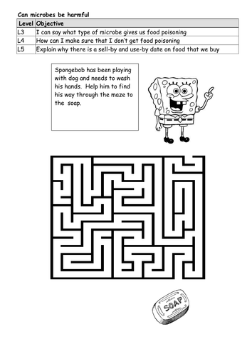 Harmful Microbes SEN - Starter & Outcome Sheet | Teaching Resources