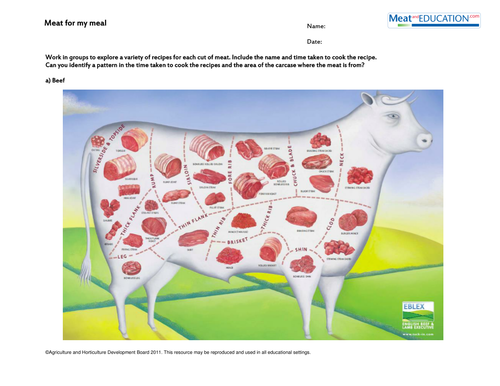 Marvelous Meat! | Teaching Resources