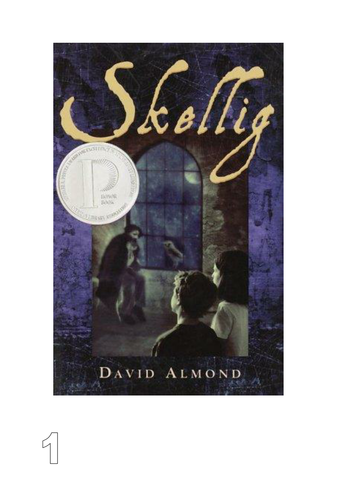 Skellig Covers | Teaching Resources