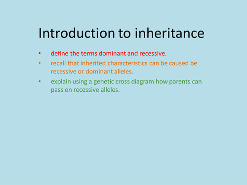 Introduction to Inheritance | Teaching Resources
