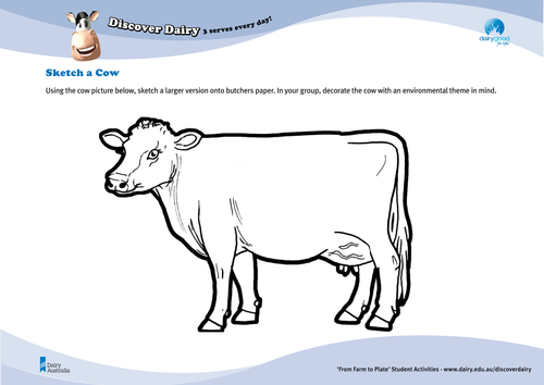 'From Farm to Plate' - Sketch a Cow | Teaching Resources