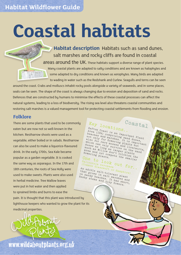 Coastal Habitat Guide | Teaching Resources