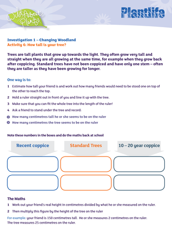 Activity 6 - How Tall is Your Tree | Teaching Resources