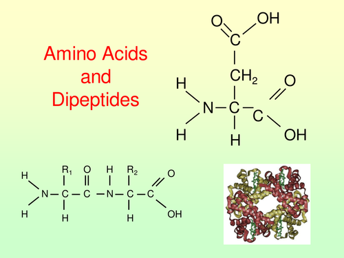 Amino Acids And Peptide Bonds Teaching Resources