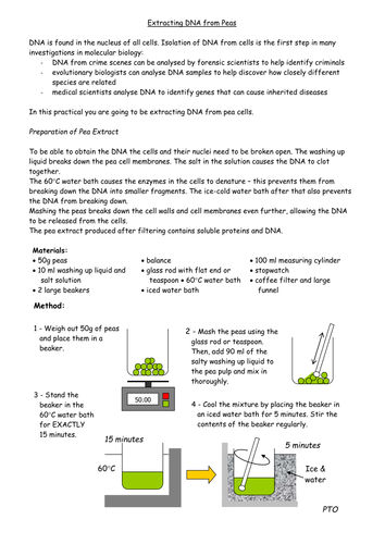 DNA extraction from frozen peas method | Teaching Resources