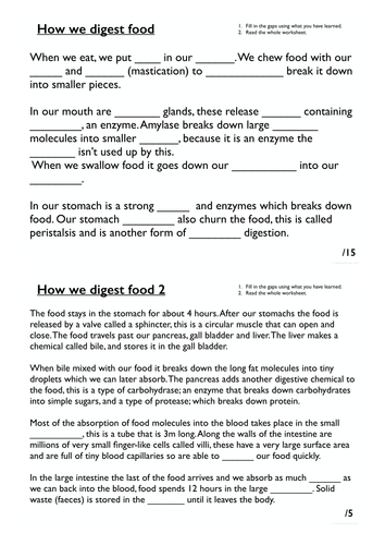 Story of the digestive system | Teaching Resources