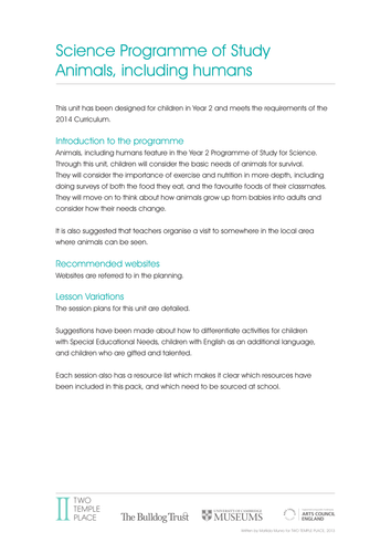 Year 2 Science - Animals, including humans | Teaching Resources