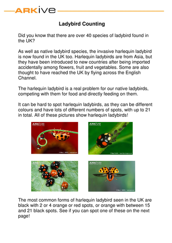 Ladybird Counting Sheet | Teaching Resources