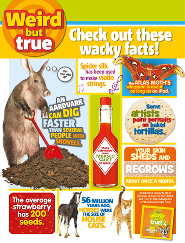 Weird But True: Wacky Facts 4 | Teaching Resources