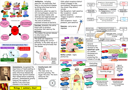AQA B1 summary sheet | Teaching Resources