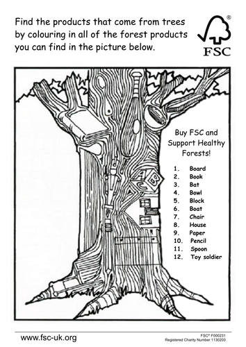 Forest School Activity List Over 50 activities by mrpeace2010 ...