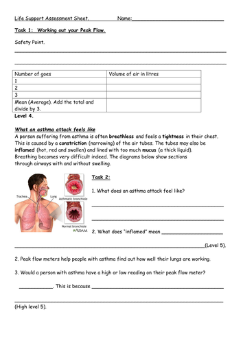 Life Support Assessment Sheet | Teaching Resources