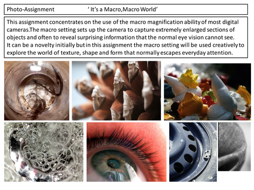 Photo-Assignment. 'It's a Macro,Macro World' | Teaching Resources